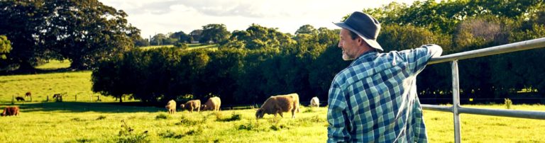 Plans | IPSTAR Broadband